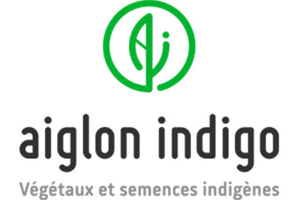 Aiglon Indigo - Désignation des premiers Ambassadeurs Indigo